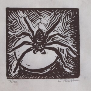 Huntsman Spider With Egg Sac Linocut Print - Etsy