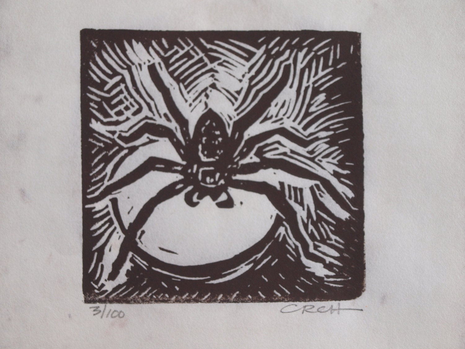 Huntsman Spider With Egg Sac Linocut Print - Etsy