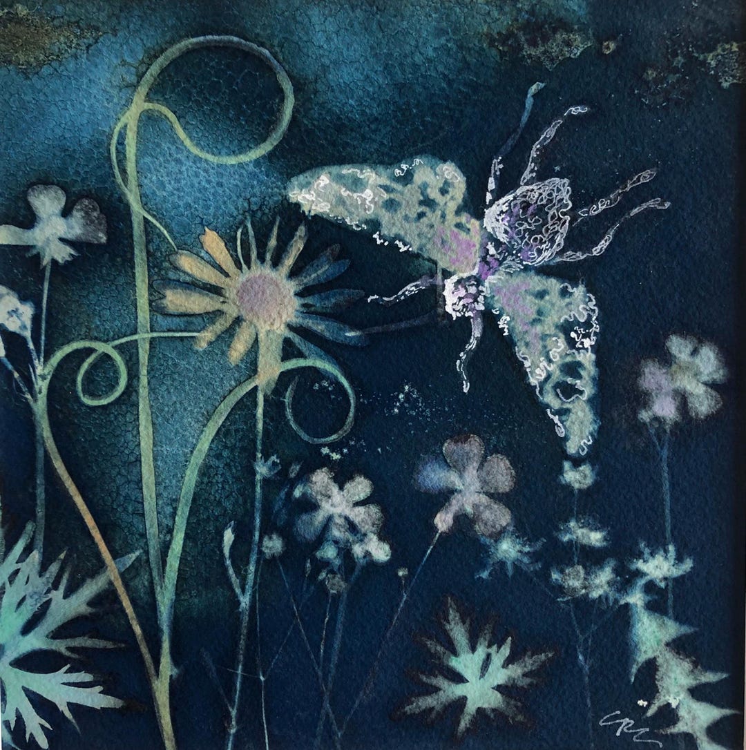 Cicada Original Cyanotype With Watercolor - Etsy