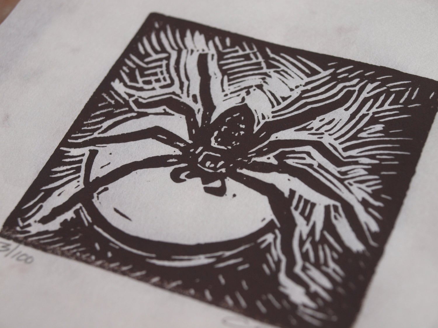 Huntsman Spider With Egg Sac Linocut Print - Etsy