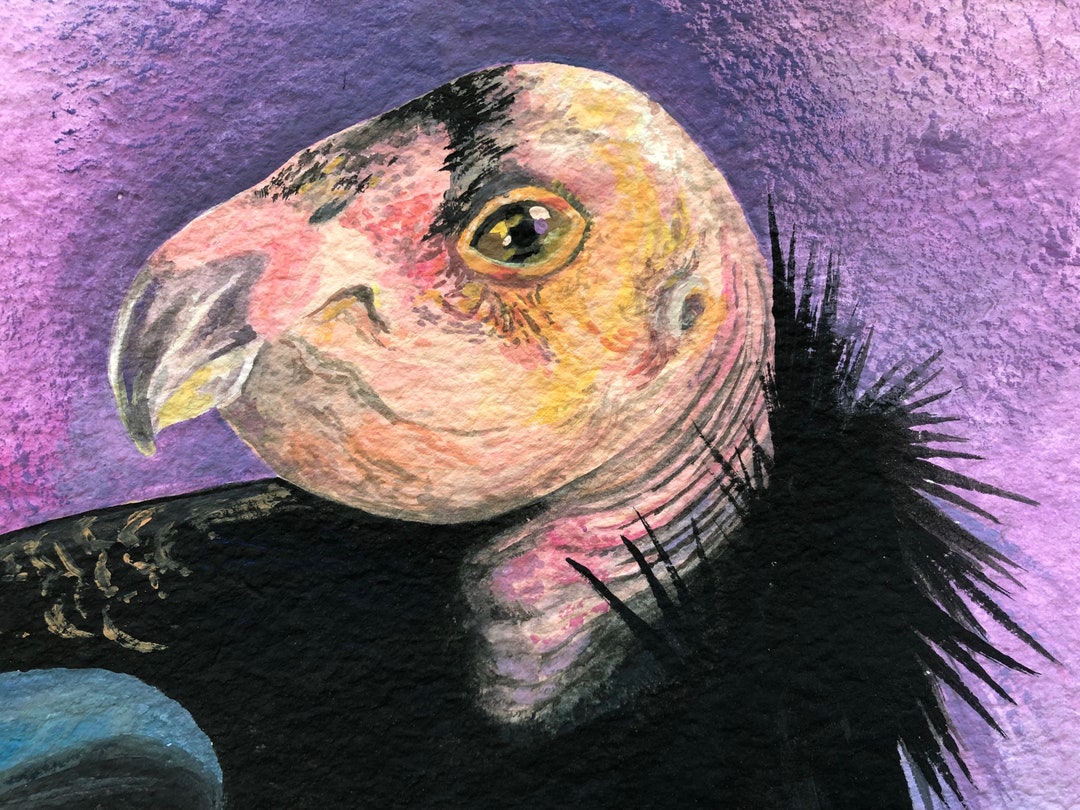 California Condor Original Painting by Cynthia Cratsley - Etsy