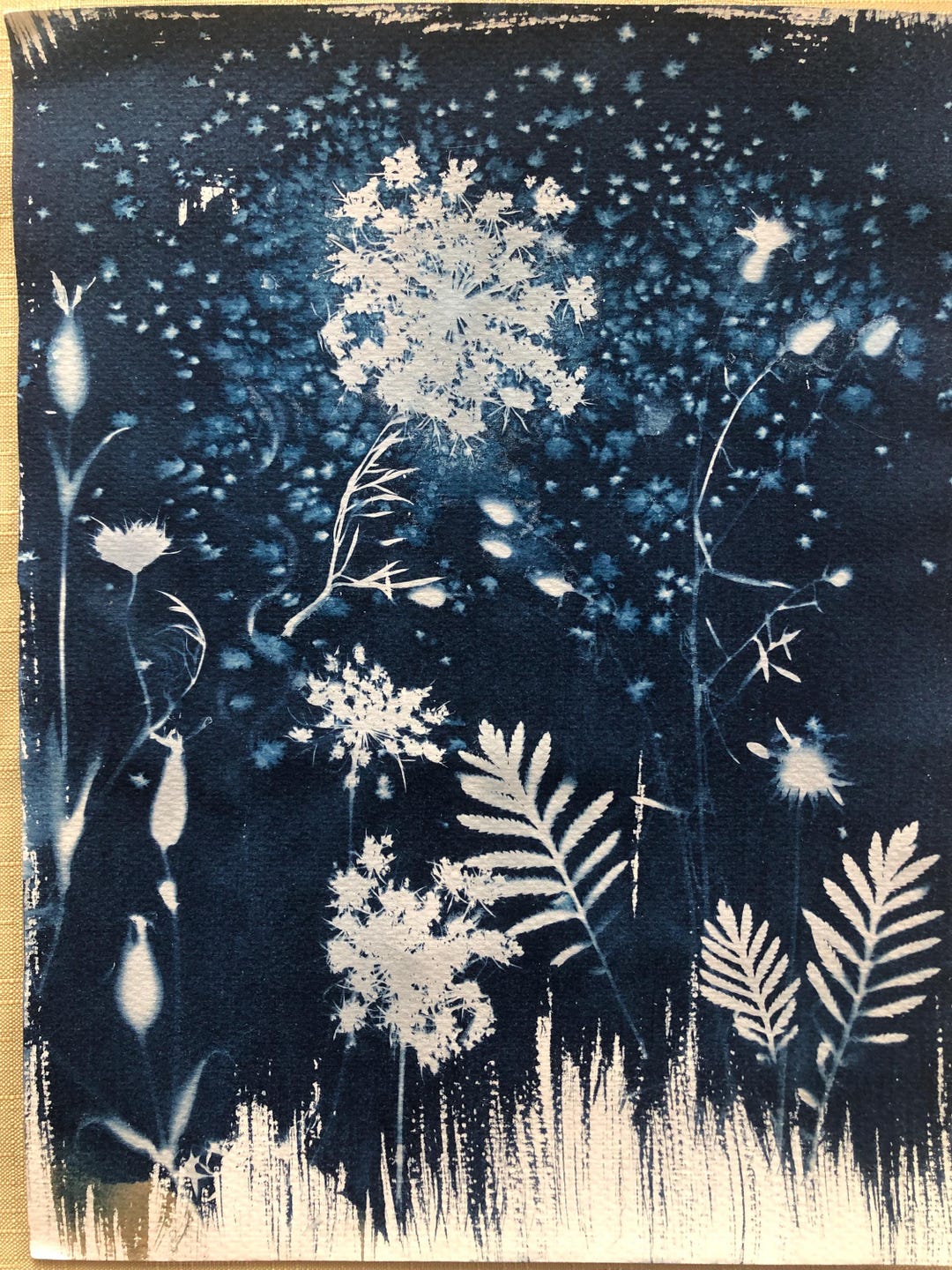 Queen Anne’s Lace Cyanotype - Etsy