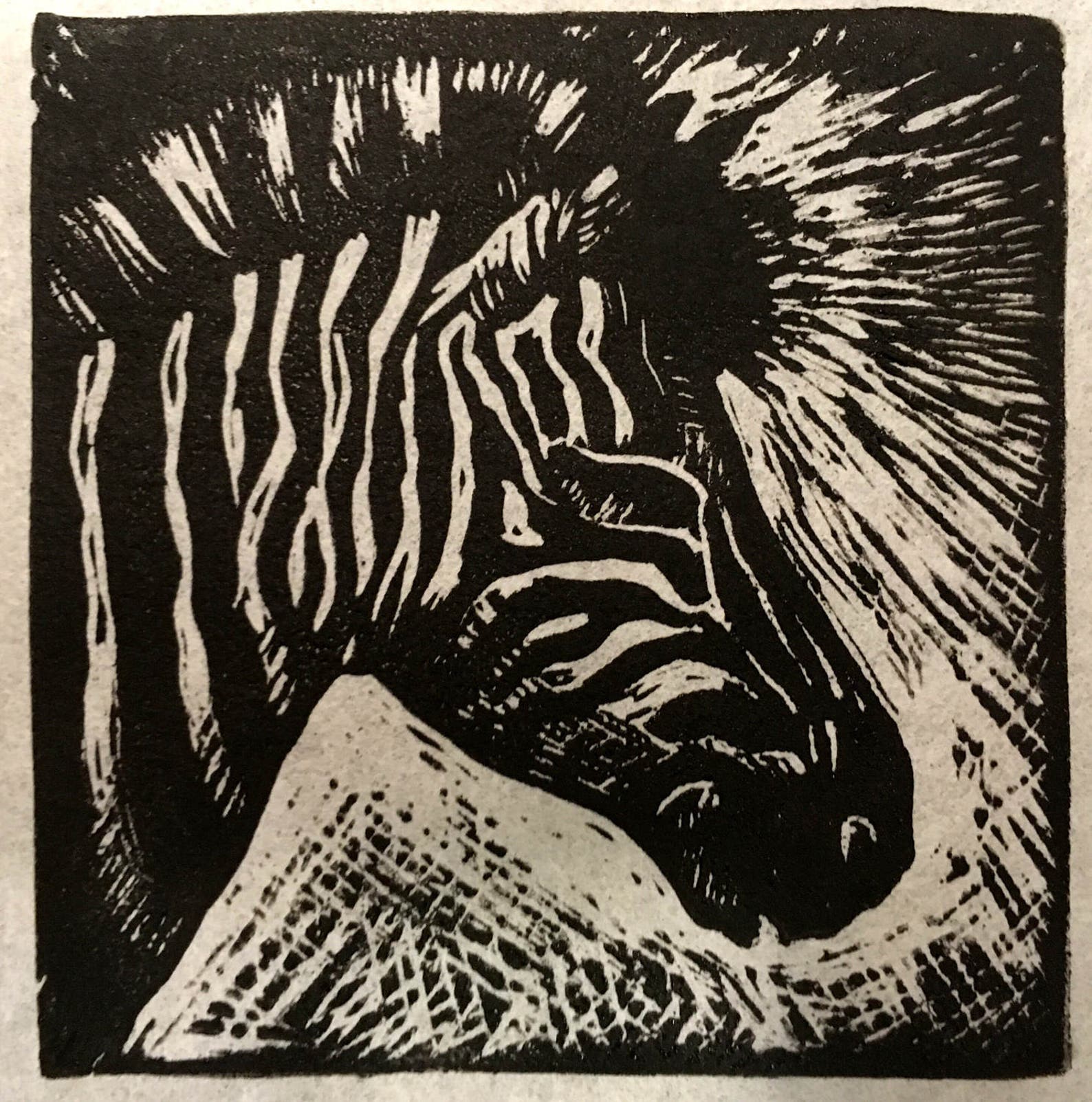 Zebra Linocut Print - Etsy