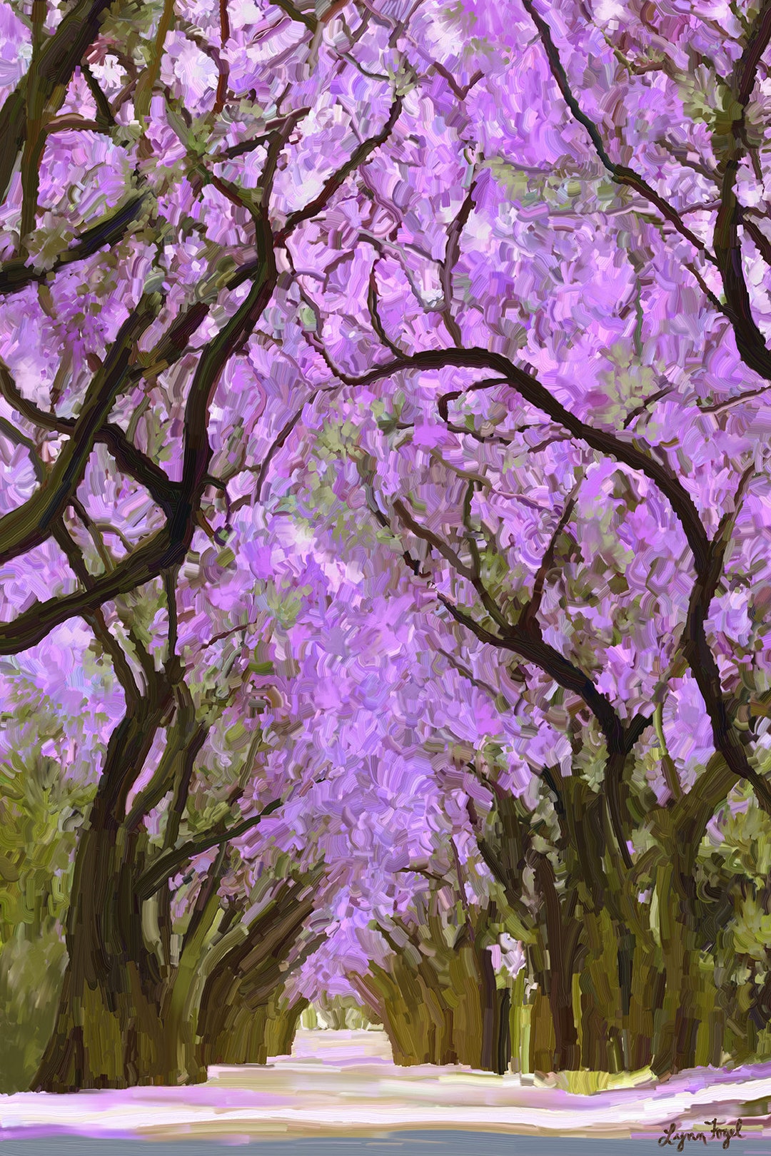 Jacaranda Trees 11x14 Matted Print Jacaranda in - Etsy