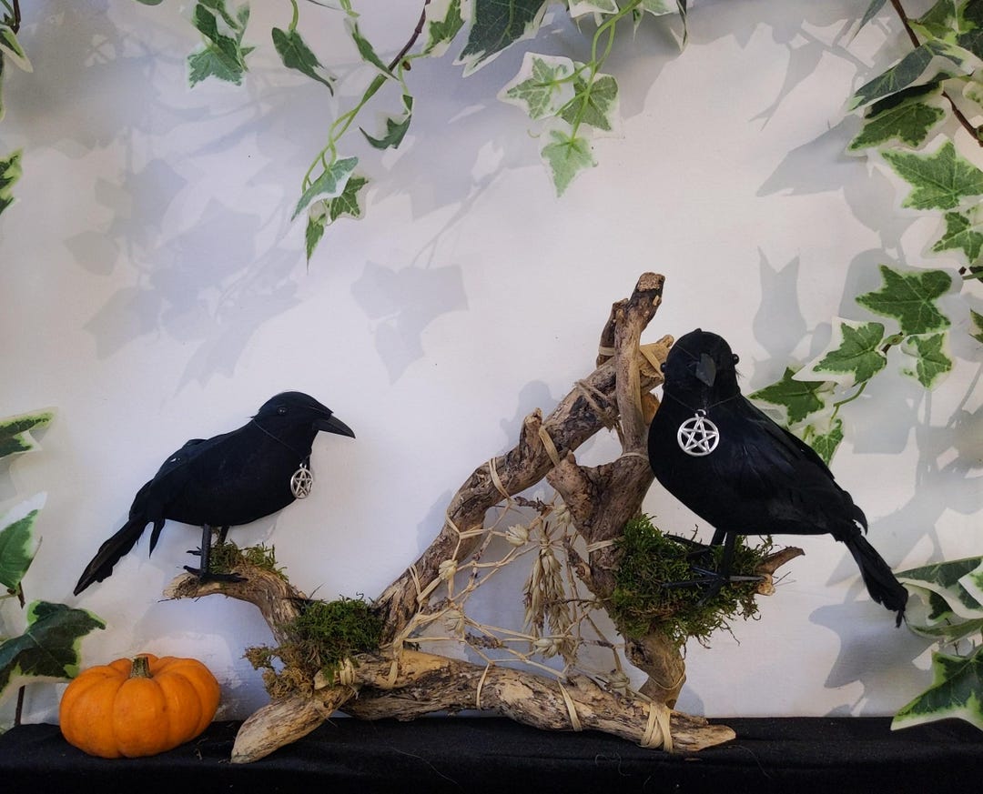 Pagan Gothic Morrigan Totem Black Raven / Crow With Pentacle Charm ...