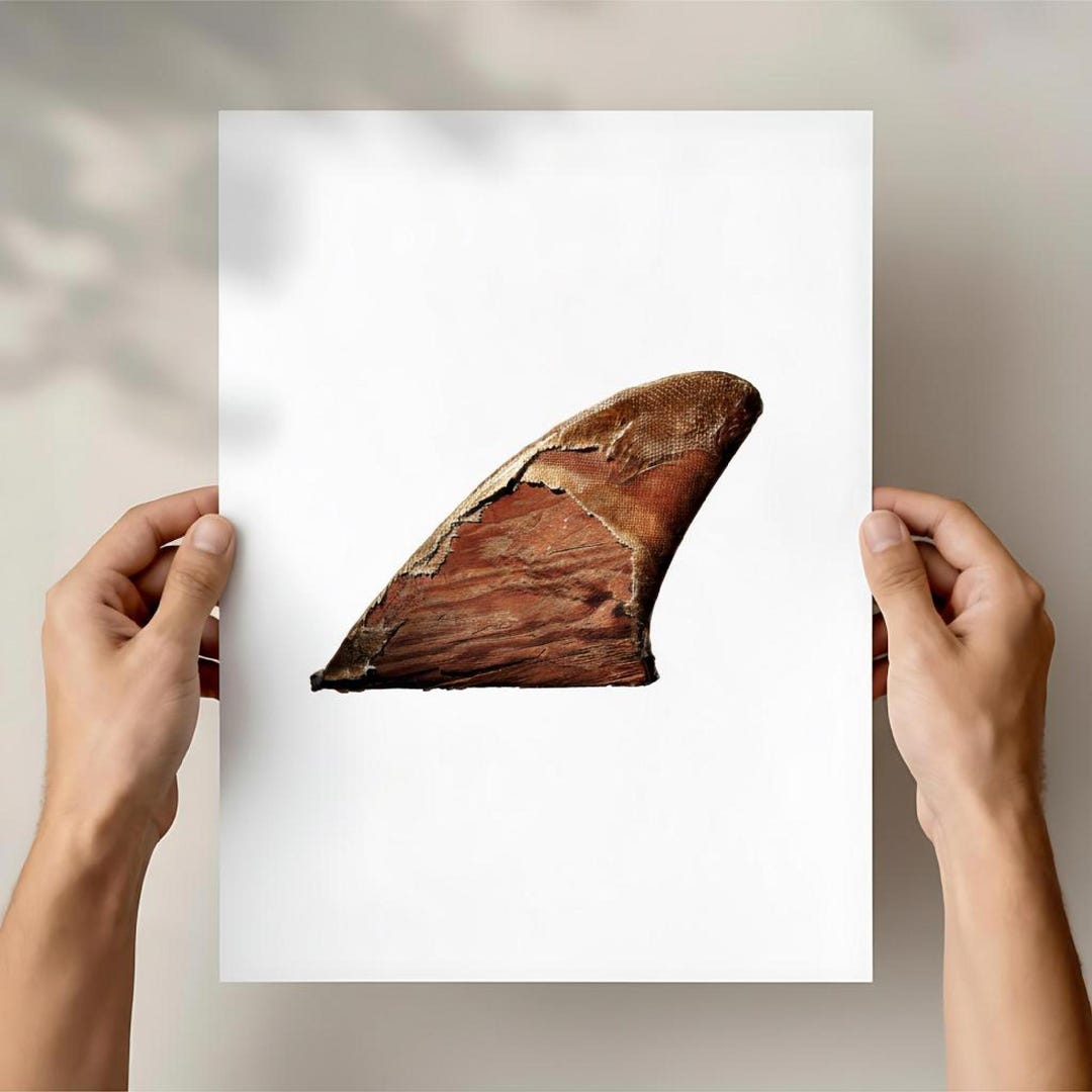 Dale Velzy Homemade Surfboard Fin Poster Print - Etsy