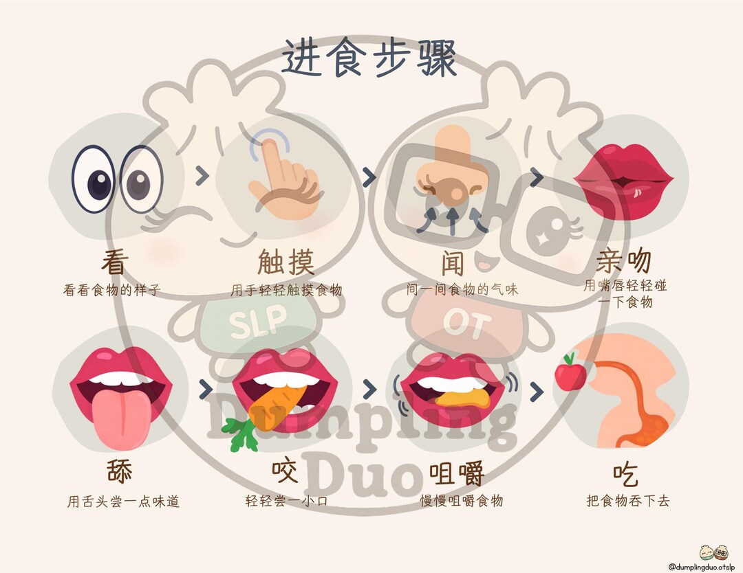 Chinese Steps to Eating Chart | Feeding Therapy Visual | Chinese ...