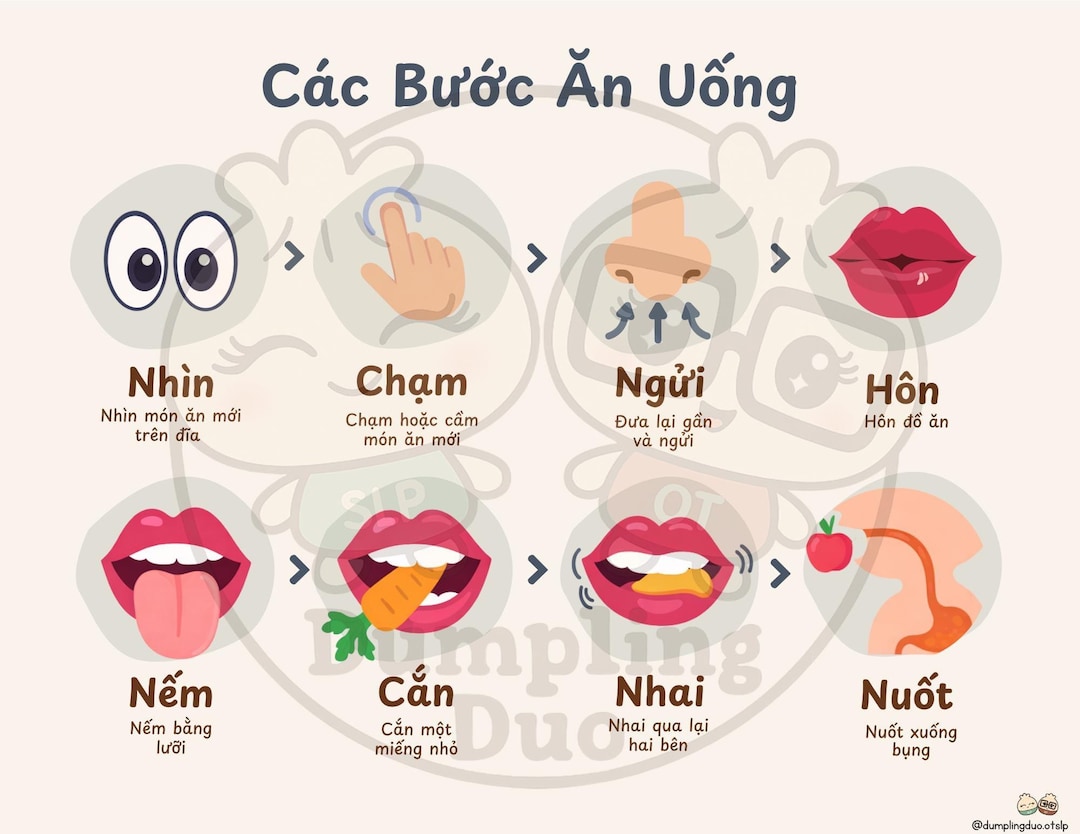 Vietnamese Steps to Eating Chart | Picky Eater Feeding Therapy Visual ...