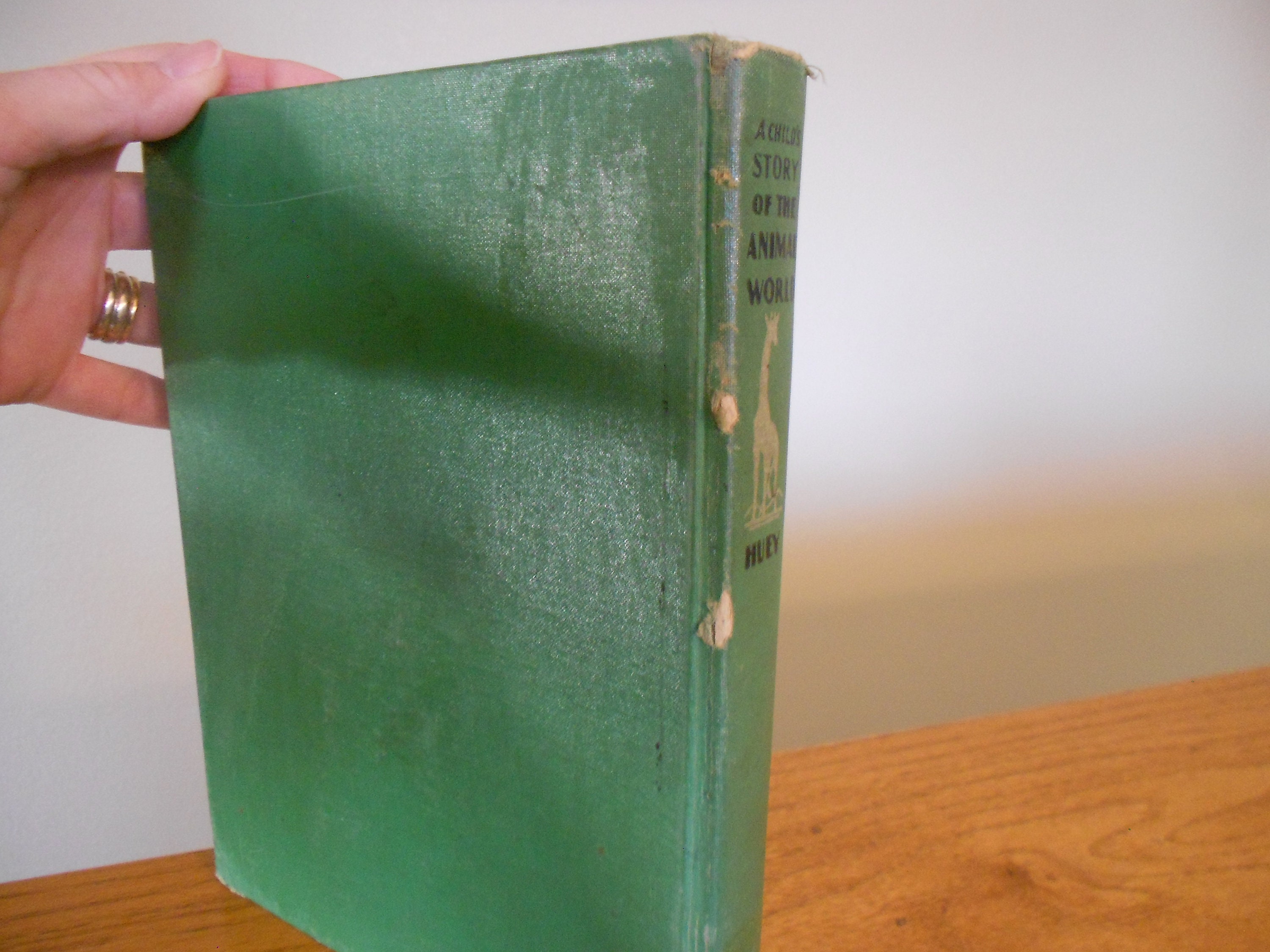 Vintage Animal World Book by Edward G. Huey of Cadmus Books, Chicago. A ...