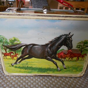 Vintage Lassie and Black Beauty Metal Lunch Box. 60s Lunch Box. - Etsy