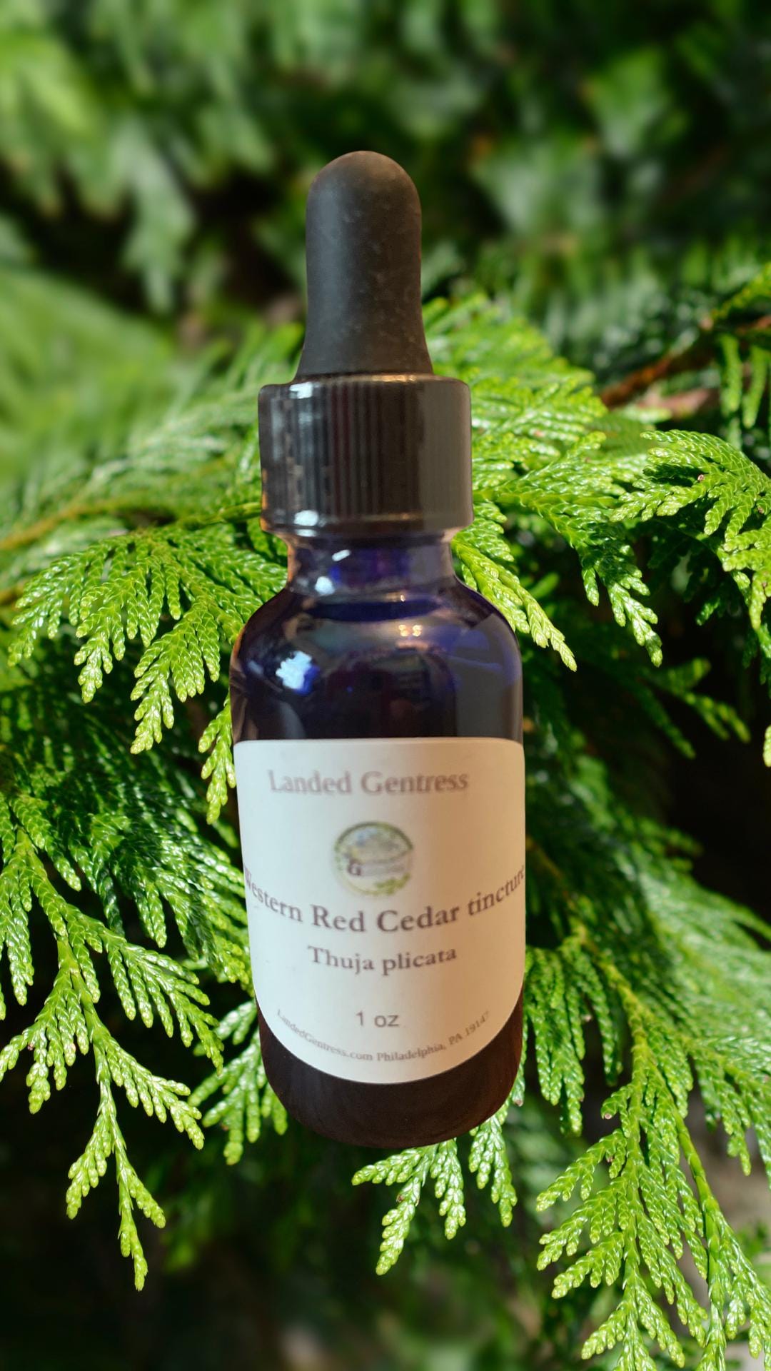 Western Red Cedar - Etsy