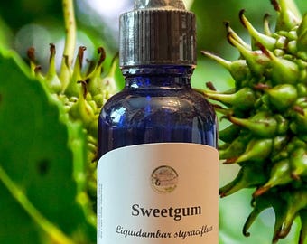 Sweet Gum Ball Natural Organic Herbal Tincture - Etsy