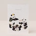 Pandamonium Greetings Card Funny Panda Birthday Card Party Pandas ...