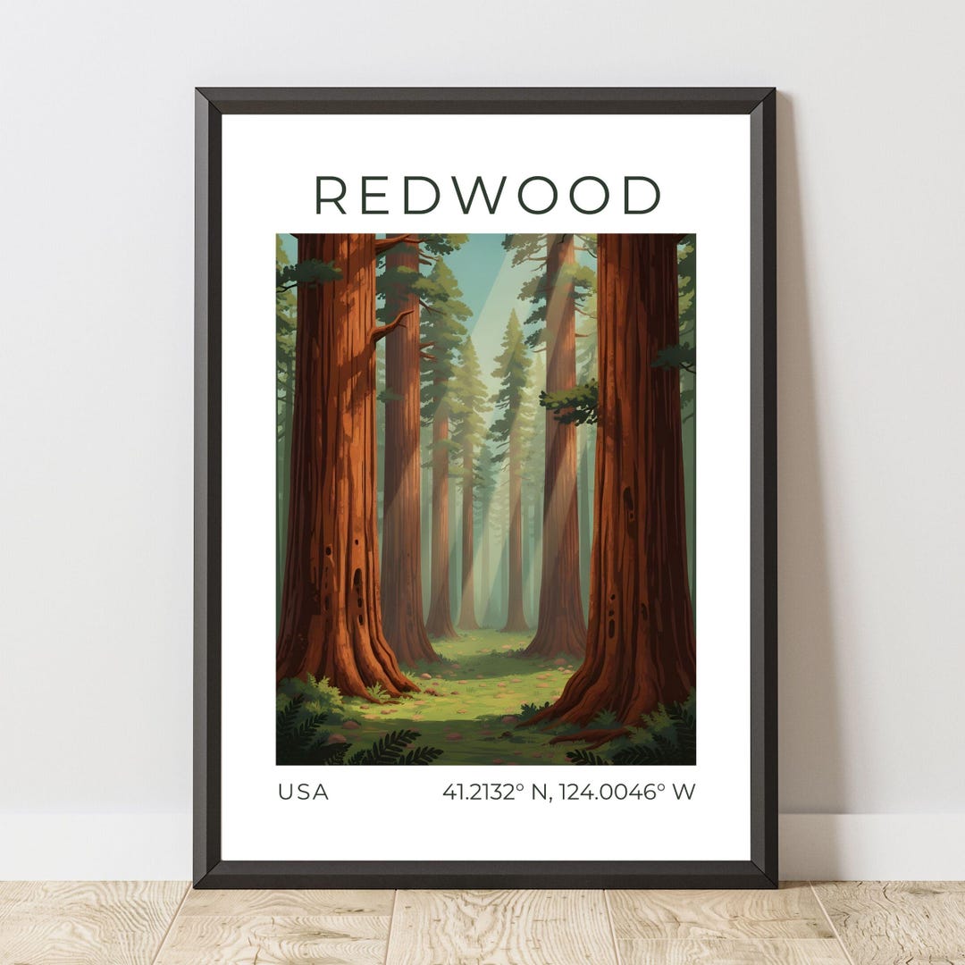 Redwood National Park USA Poster, Vintage Travel Poster, Travel Wall ...