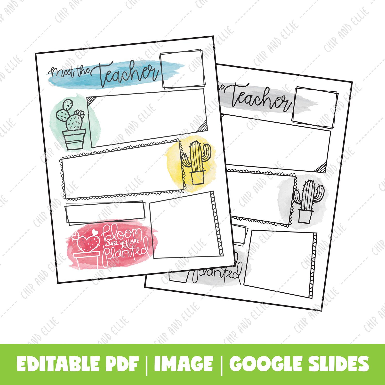 Cactus Meet the Teacher Flyer Google Slides Instant - Etsy