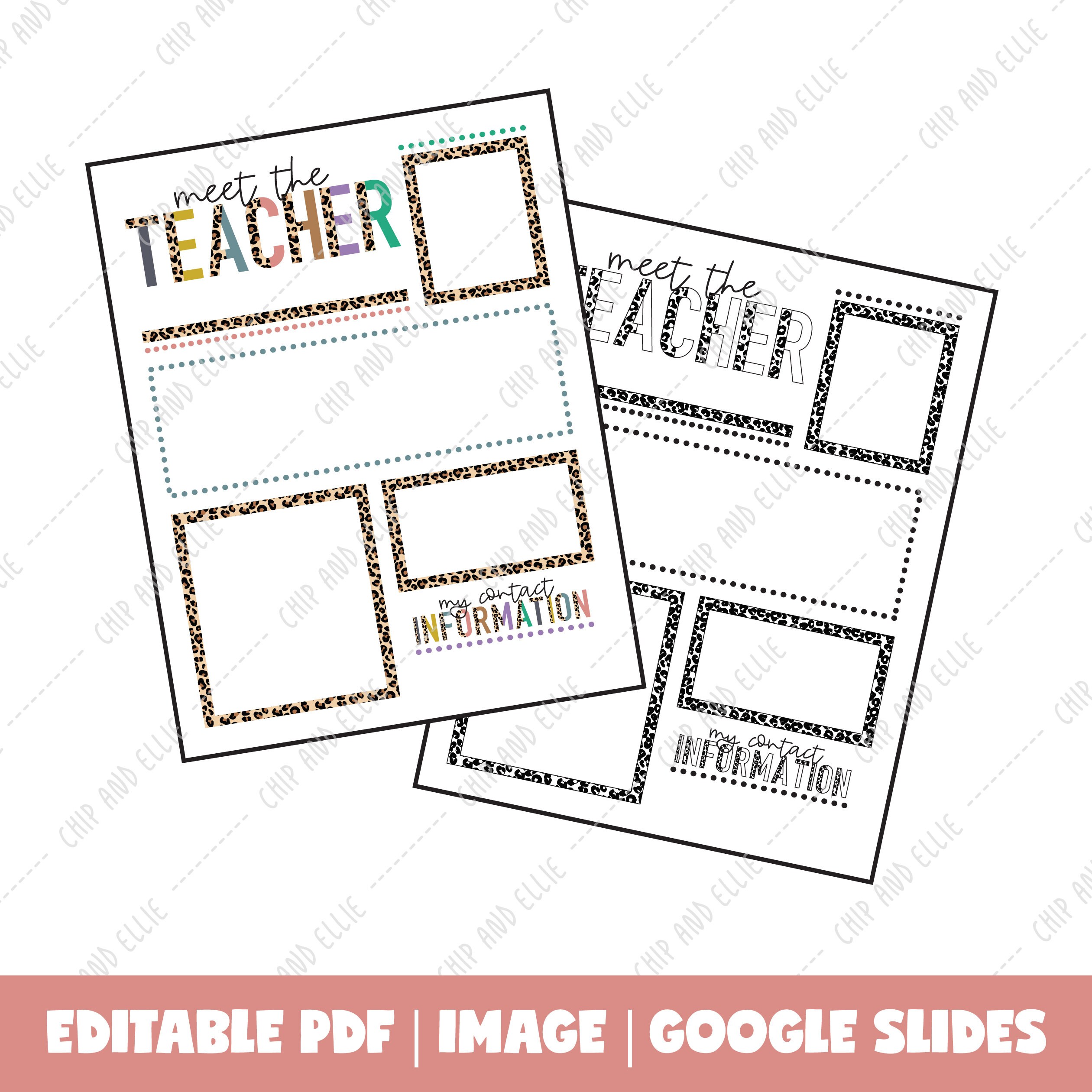 Leopard Print Meet the Teacher | Editable Welcome Flyer | Google Sheets ...