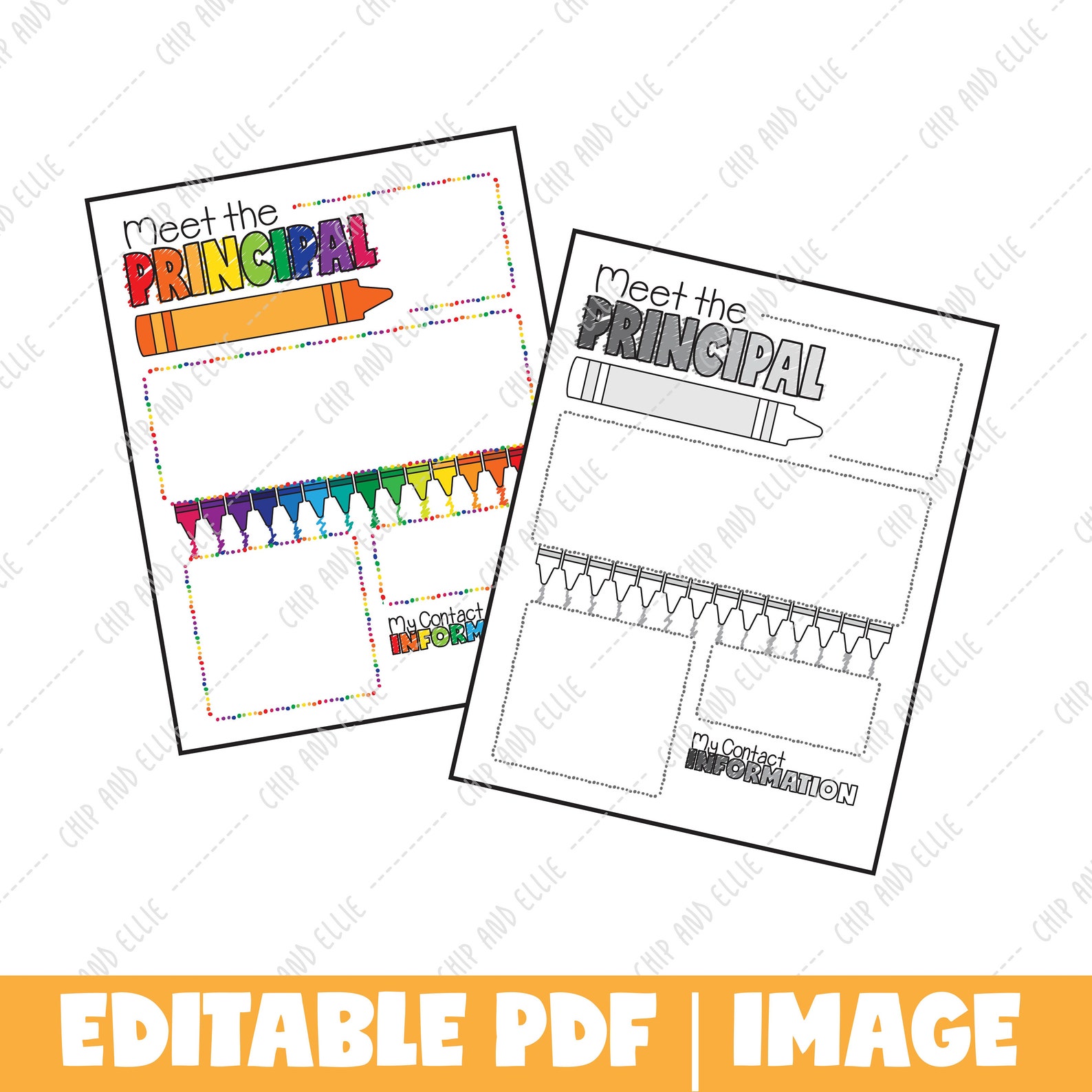 Crayon Meet the Principal Flyer Google Slides Instant | Etsy