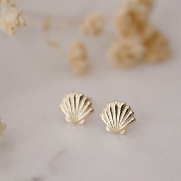 Gold Seashell - Etsy