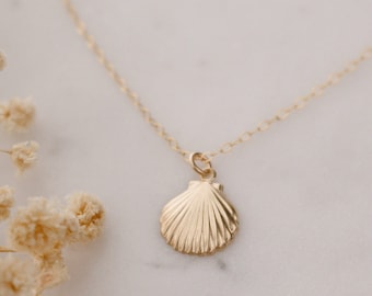 Small Gold Seashell Necklace - Etsy