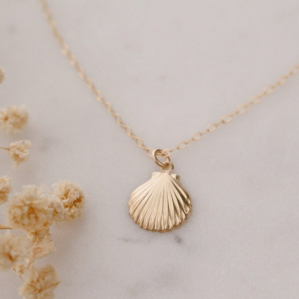 Clam Shell Necklace - Etsy
