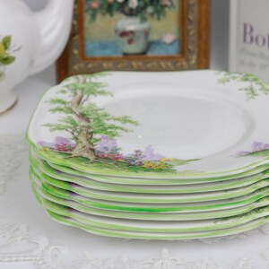 Set of 8 Royal Albert Greenwood Tree Dessert Plates, English Bone China ...
