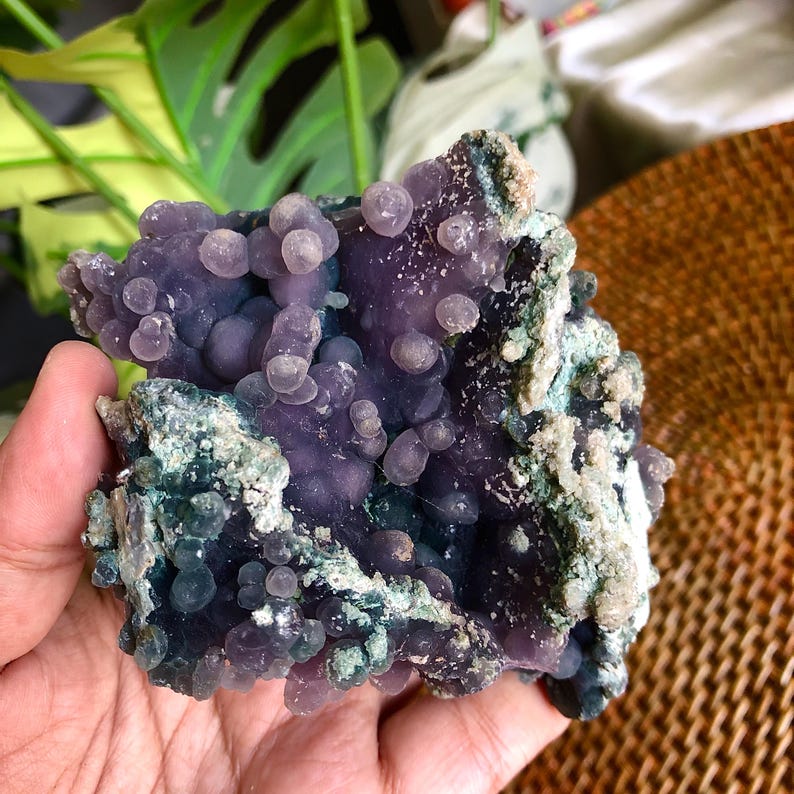 Grape Agate Cluster – Purple Green Bicolor Indonesia Mineral, Shell ...