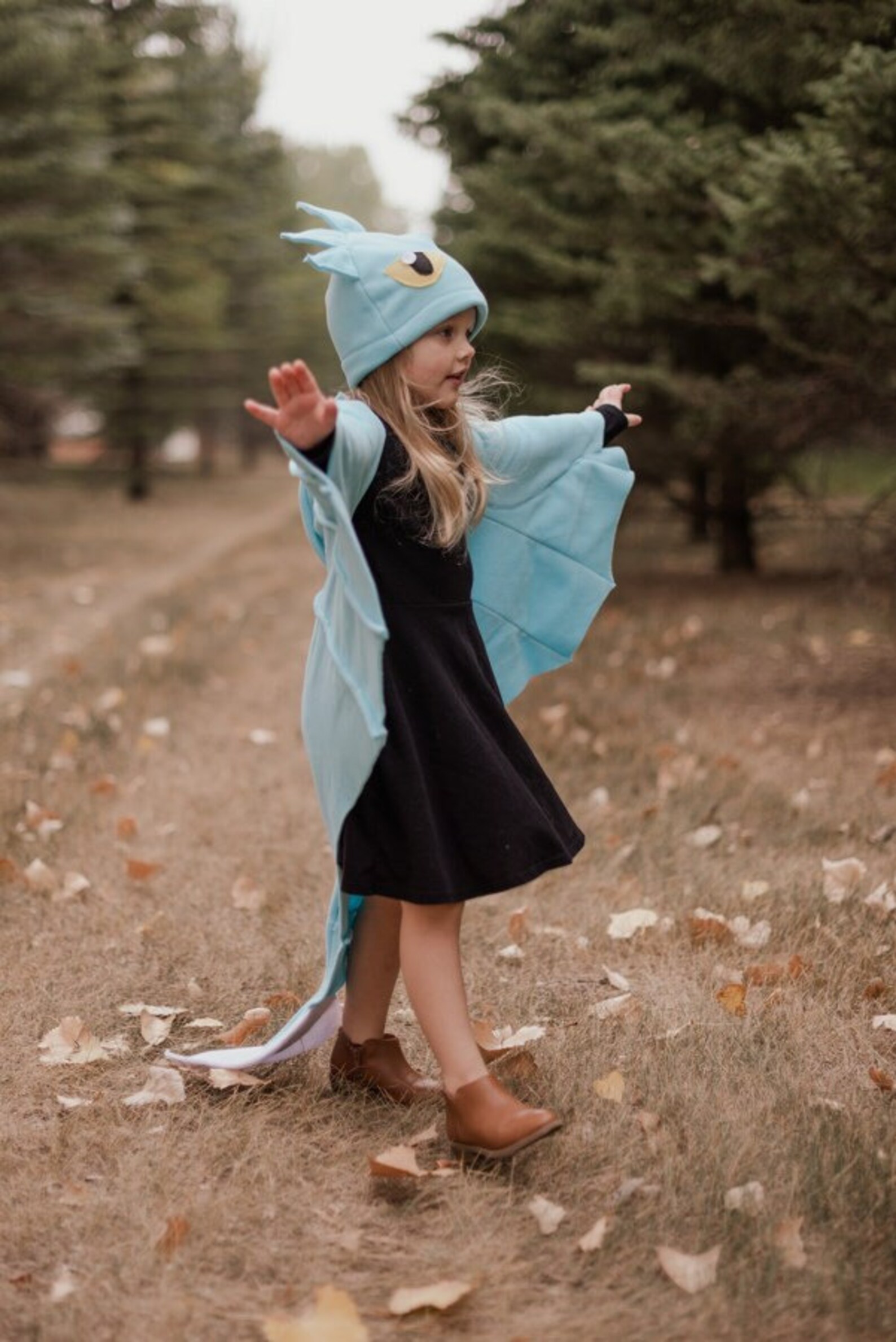 Summer Rescue Riders Dragon Costume ONLY How to Train Your - Etsy