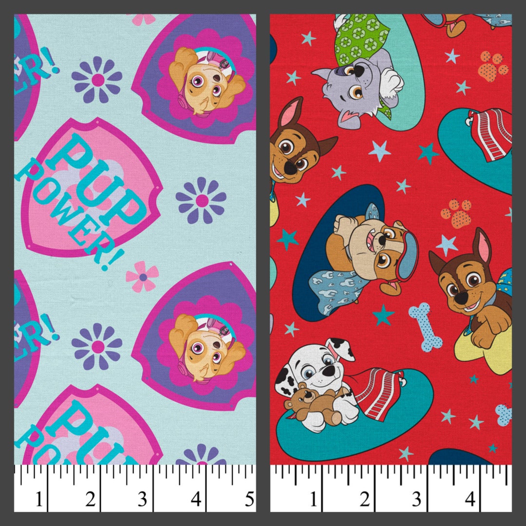 Nick Jr Paw Patrol Cloth 2 Layers Washable Face Mask - Etsy