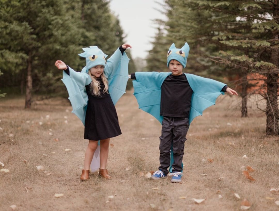 Summer Rescue Riders Dragon COSTUME ONLY | How to Train Your Dragon ...