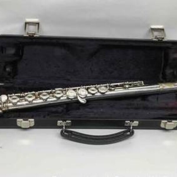 Flute Case - Etsy