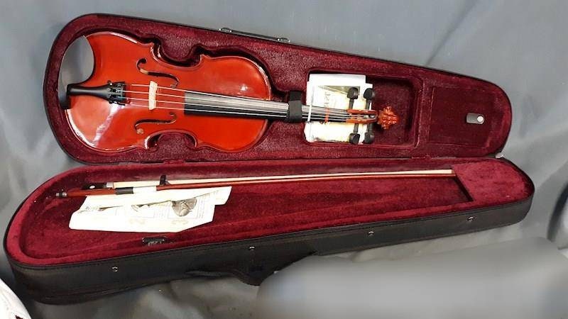 Viola Hard Case