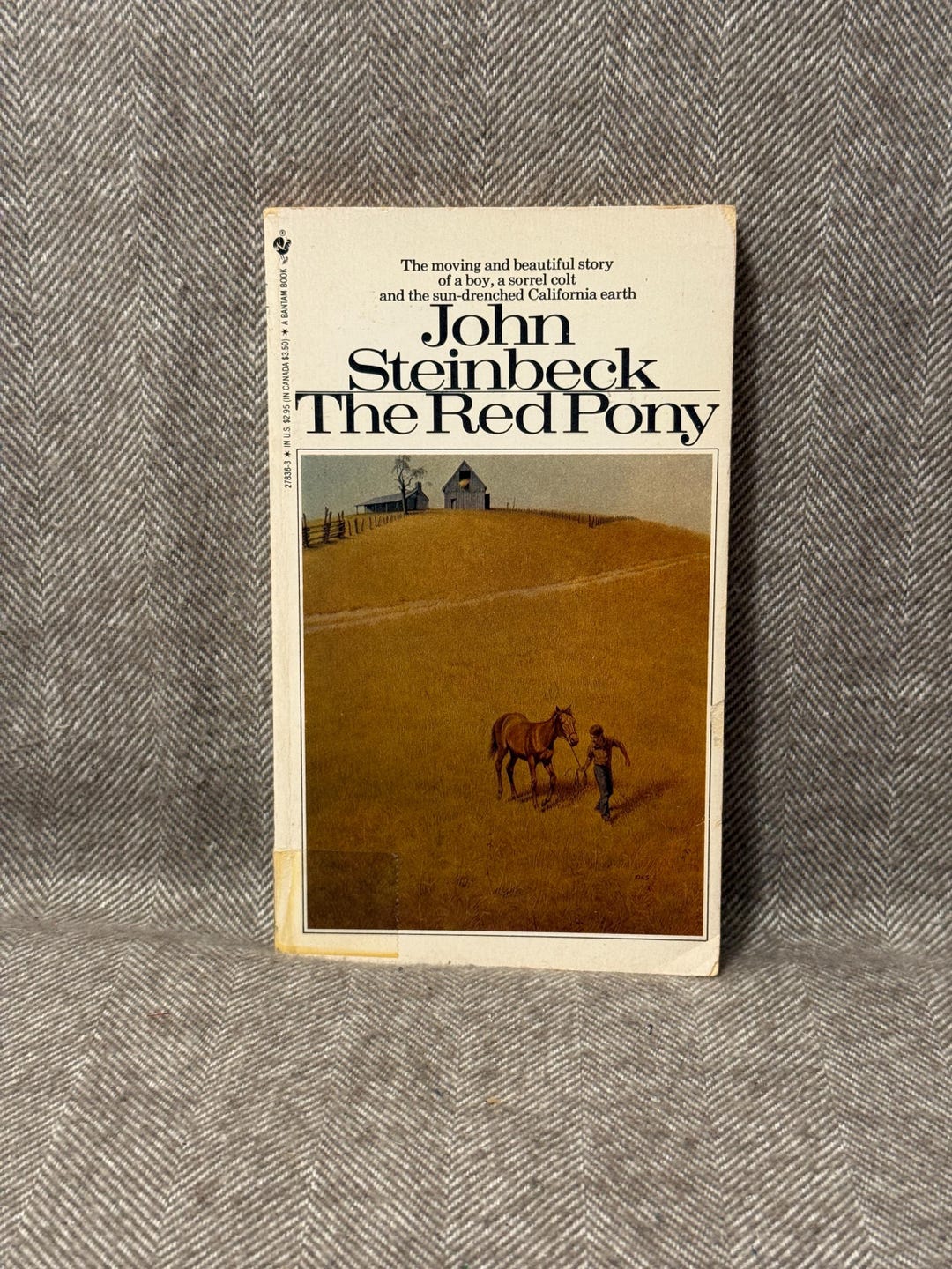 The Red Pony by John Steinbeck, 1988 Bantam Books Paperback - Etsy