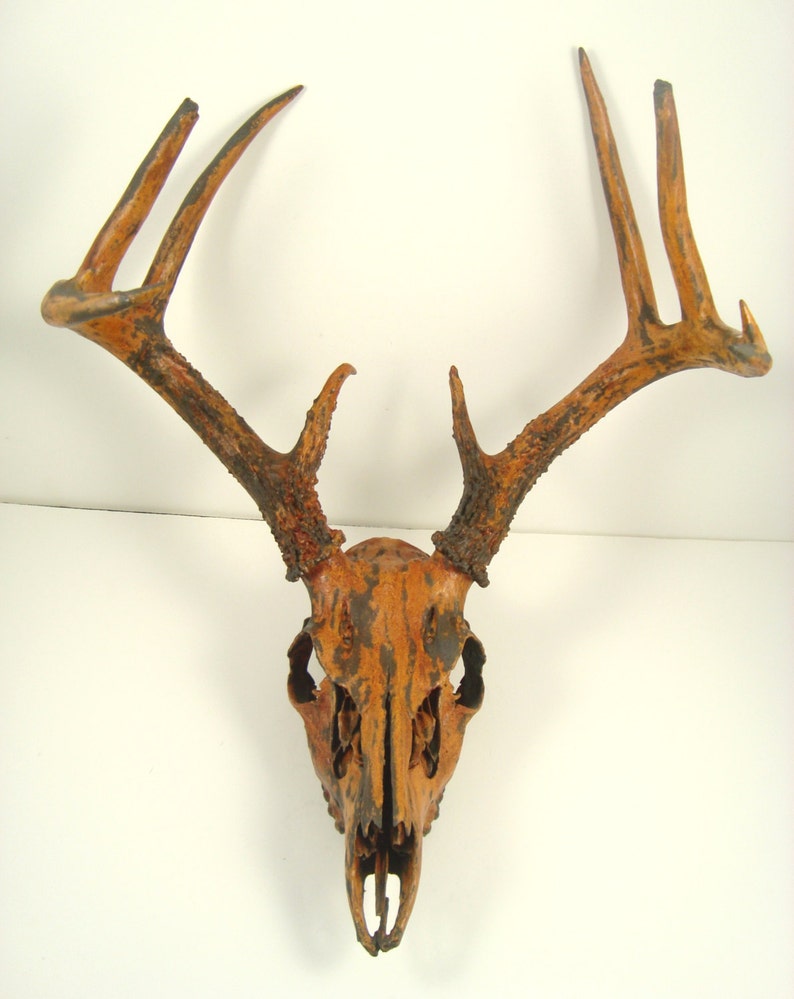 Deer Skull Taxidermy Painted Antlers Black Iron Rust | Etsy