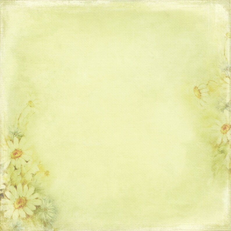 Oopsie Daisy Paper Set - Etsy