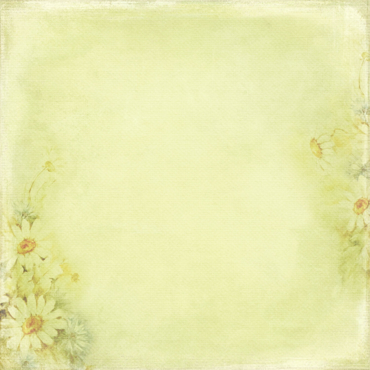 Oopsie Daisy Paper Set - Etsy