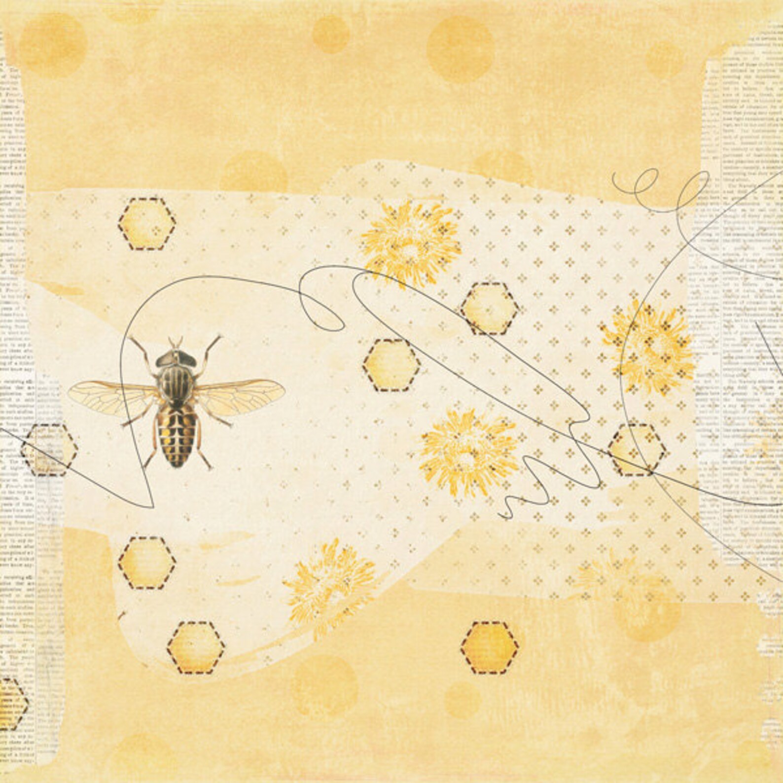 Sweet as Honey Paper Set - Etsy