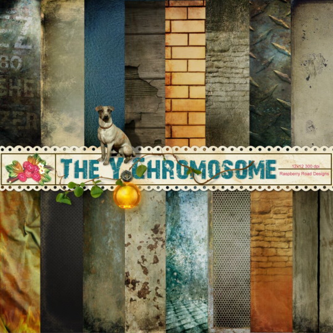 The Y Chromosome Paper Set - Etsy