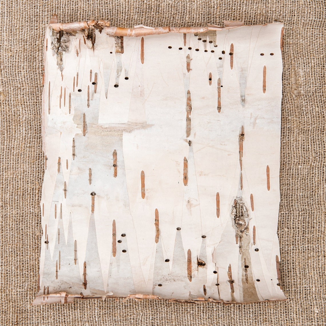 Rustic Wedding Paper Set - Etsy