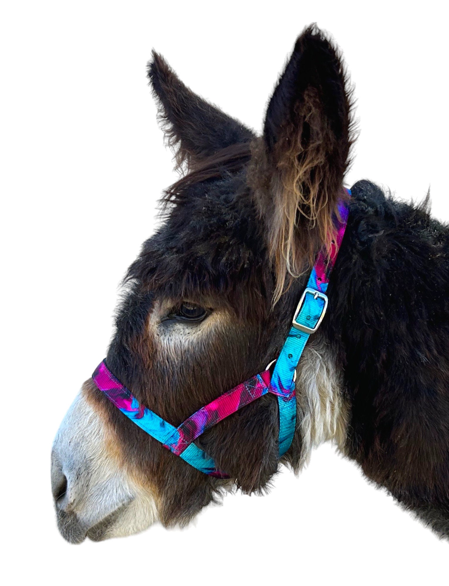 Donkey Halter NEW Figure 8 Design, Add Breakaway Tab or Snap, Handmade ...