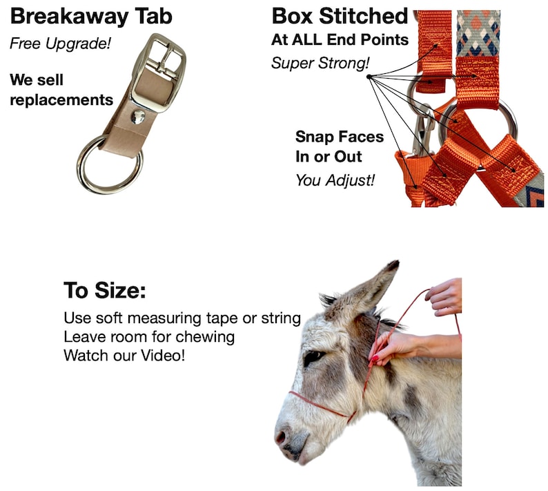 Donkey Halter NEW Figure 8 Design, Add Breakaway Tab or Snap, Handmade ...