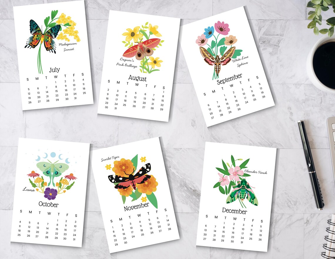 2026 Moth Calendar: Hand-drawn Insect Art, Desk Size - Etsy