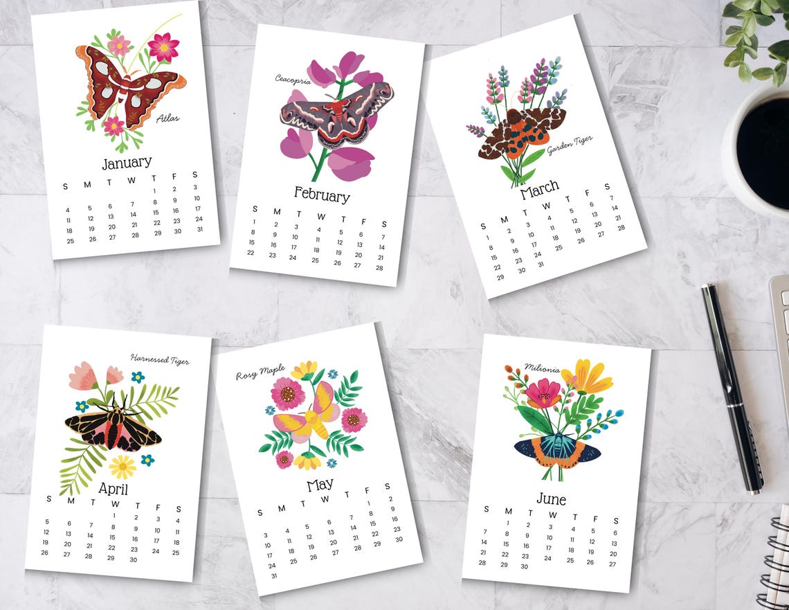 2026 Moth Calendar: Hand-drawn Insect Art, Desk Size - Etsy