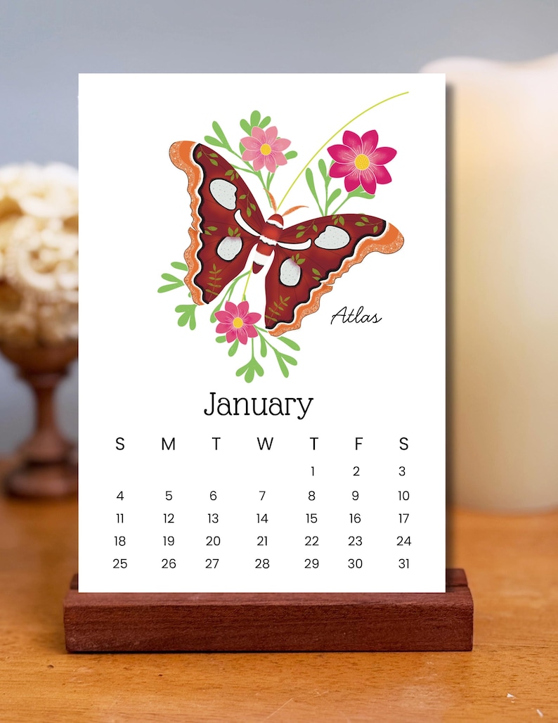 2026 Moth Calendar: Hand-drawn Insect Art, Desk Size - Etsy