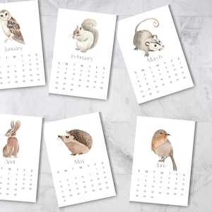 2026 Woodland Animals Desk Calendar: Watercolor Forest Art - Etsy