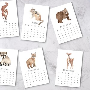 2026 Woodland Animals Desk Calendar: Watercolor Forest Art - Etsy