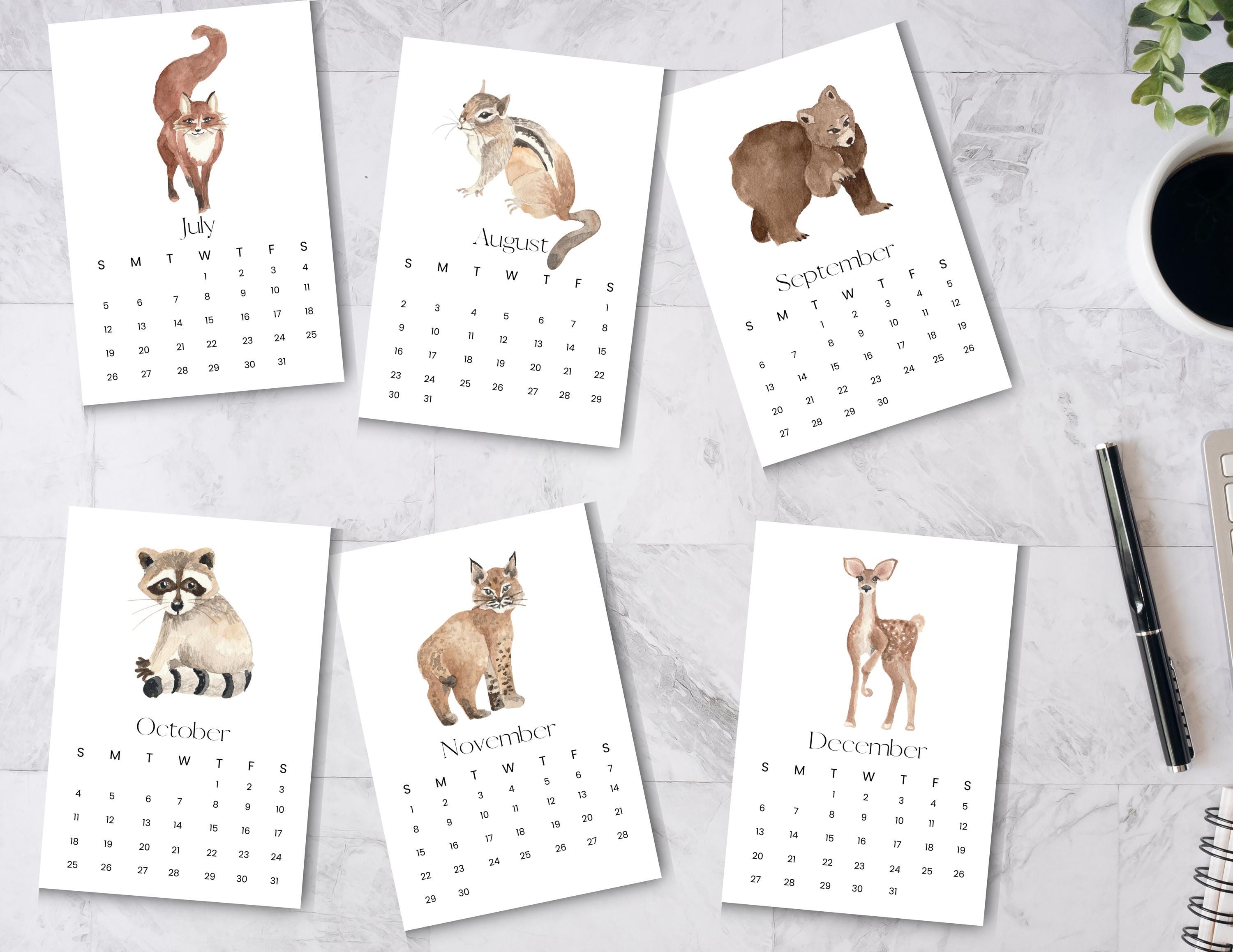 2026 Woodland Animals Desk Calendar: Watercolor Forest Art - Etsy