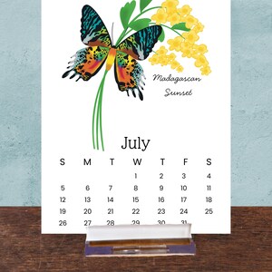 2026 Moth Calendar: Hand-drawn Insect Art, Desk Size - Etsy