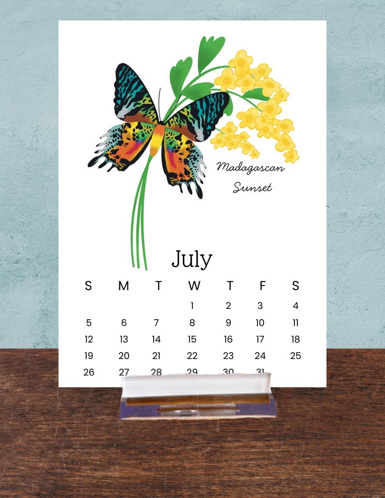 2026 Moth Calendar: Hand-drawn Insect Art, Desk Size - Etsy