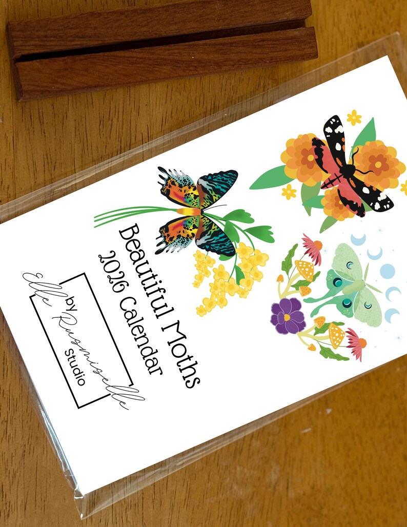 2026 Moth Calendar: Hand-drawn Insect Art, Desk Size - Etsy