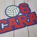 Volleyball Cake Topper - Personalized Volleyball Cake Topper ...